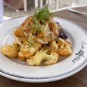 THE TURTLE CLUB - 890 Photos & 734 Reviews - 9225 Gulfshore Dr N ...