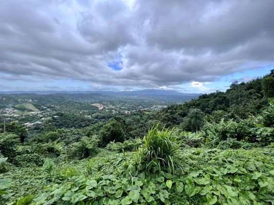 EL CERRO DE NANDY - Updated May 2026 - 33 Photos & 27 Reviews - PR-765 ...