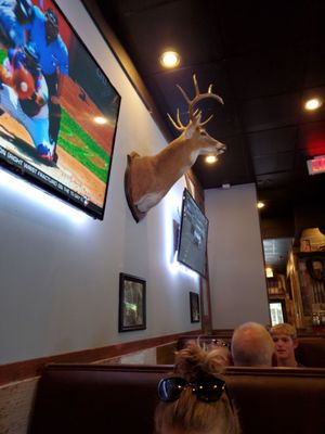 GREAT AMERICAN RANCH - 54 Photos & 76 Reviews - 13995 Raised Antler Cir ...