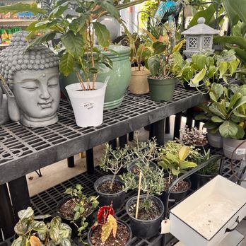 PAT’S FARMS GARDEN CENTER - Updated January 2026 - 71 Photos - 1126 ...