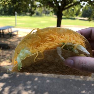 TACO TREE - Updated July 2024 - 95 Photos & 252 Reviews - 180 Oakwood ...
