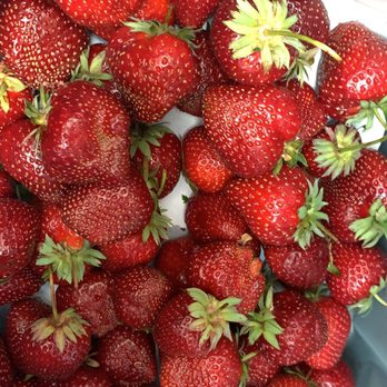 ROWAND’S FARM - TEMP. CLOSED - Updated October 2025 - 11 Photos & 13 ...