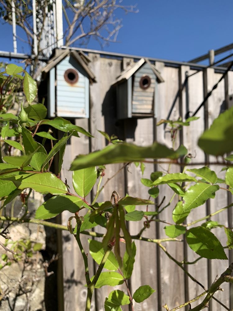 WELCOME STRANGER INN - Updated October 2025 - 13 Photos - Newton Abbot ...