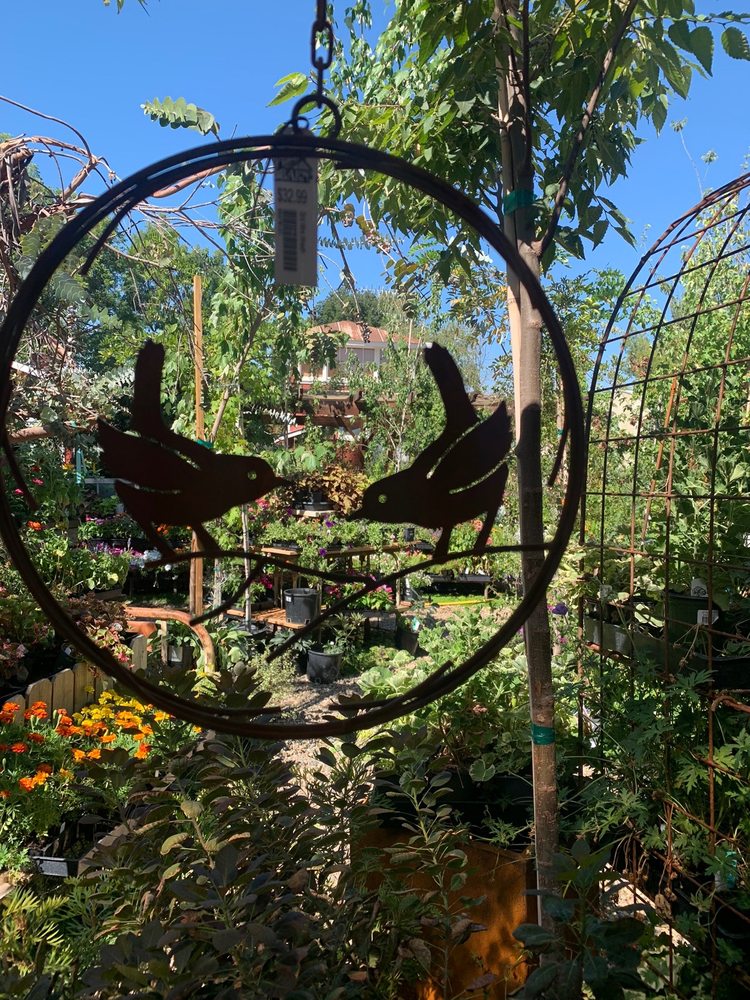 PLANT BARN & GIFT SHOP THE - Updated June 2024 - 43 Photos & 46 Reviews ...