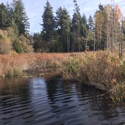 CLARK LAKE PARK - 69 Photos & 30 Reviews - Lakes - 12655-12749 SE 240th ...