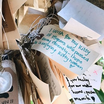 THE WISHING TREE - Updated December 2025 - 54 Photos & 12 Reviews ...