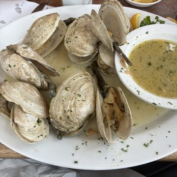 THE FISH STORE - Updated December 2025 - 94 Photos & 113 Reviews - 836 ...