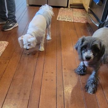 PARLOR DOUGHNUTS - Updated December 2025 - 76 Photos & 29 Reviews ...