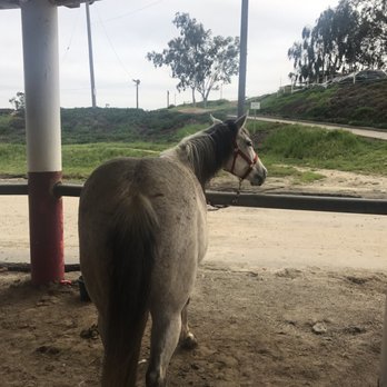 STEPP STABLES - Updated January 2026 - 26 Photos & 21 Reviews - Camp ...