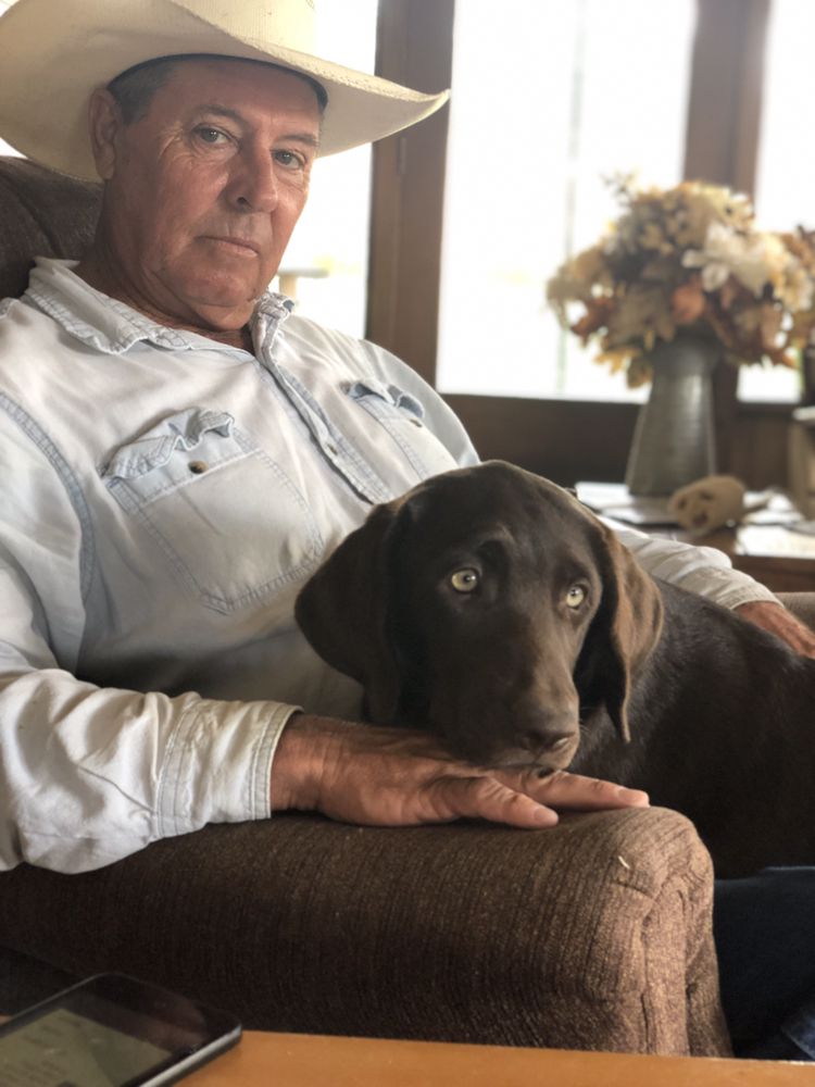 TEXAS LABRADOR RETRIEVERS - Updated October 2025 - Request Information ...