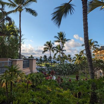 THE BANYAN TREE - Updated May 2024 - 650 Photos & 411 Reviews - 1 Ritz ...