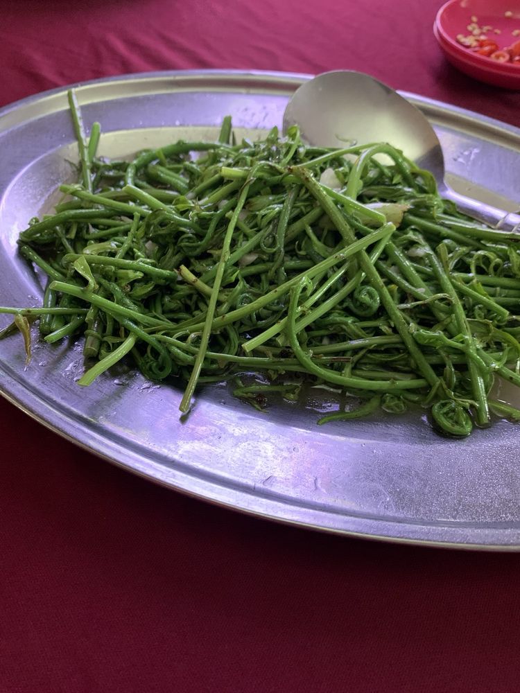 TOP SPOT FOOD COURT - Updated August 2025 - 54 Photos & 13 Reviews ...