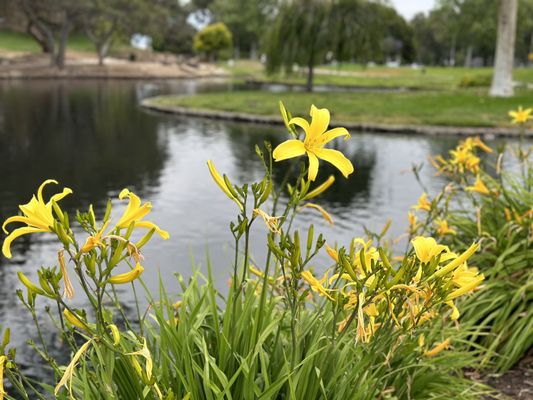 TEWINKLE PARK - Updated March 2025 - 375 Photos & 120 Reviews - 970 ...