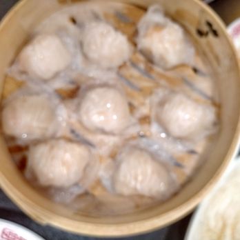 DUMPLING GARDEN with reviews - Updated September 2024 - 527 Photos ...