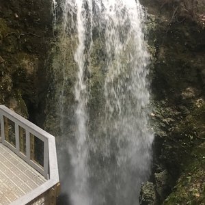 FALLING WATERS STATE PARK - 198 Photos & 50 Reviews - 1130 State Park ...