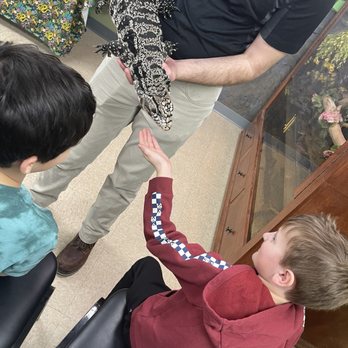 SNAKE DISCOVERY A REPTILE EXPERIENCE - Updated October 2025 - 44 Photos ...