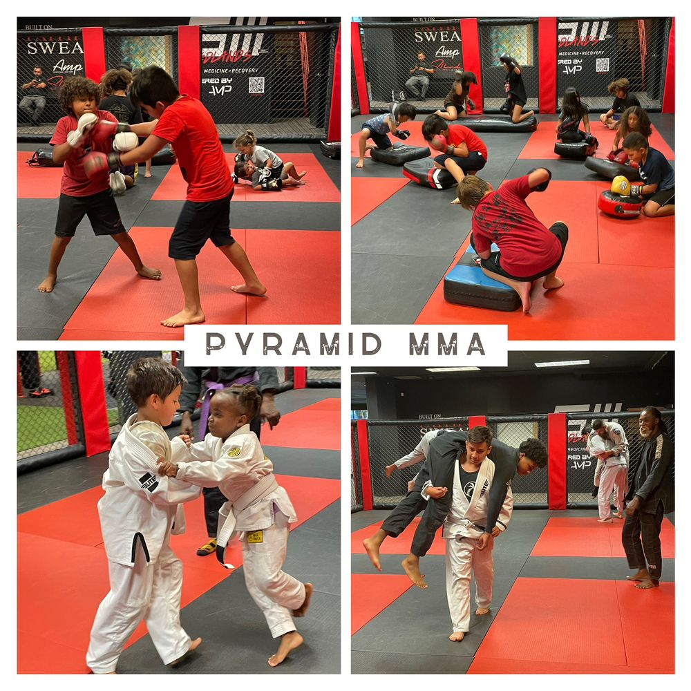 PYRAMID MIXED MARTIAL ARTS - Updated August 2025 - Request Information ...