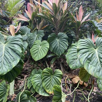 JESSE DURKO’S NURSERY - Updated September 2024 - 96 Photos & 37 Reviews ...