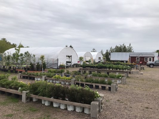 KIMBER’S FARM AND CREATIONS - Updated May 2025 - 3643 S Mackinac Trl ...