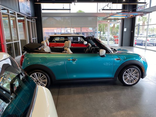 TOM BUSH MINI - Updated December 2025 - 33 Photos & 72 Reviews - 9881 ...