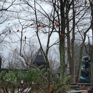 MANDERACH PARK - Updated January 2025 - 21 Photos & 17 Reviews ...