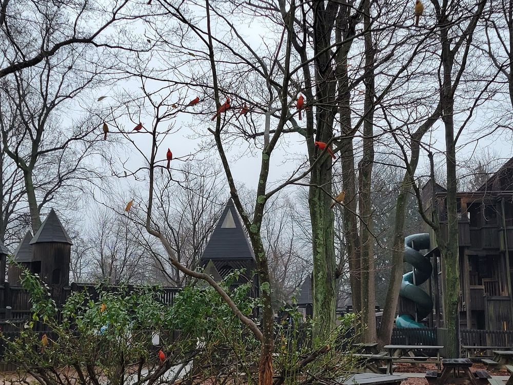 PARKSIDE PLACE PARK - Updated August 2024 - 36 Photos - 1 Parkside Pl ...