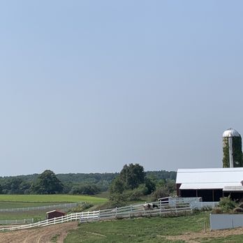 MOOMERS - Updated July 2024 - 308 Photos & 349 Reviews - 7263 N Long ...