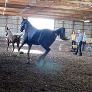 CROSS CREEK STABLES - 65 Photos - 2200 NW 192nd St, Edmond, OK - Yelp