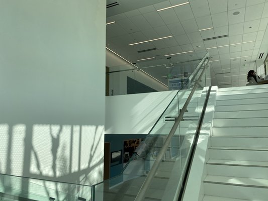 LAMOND RIGGS PUBLIC LIBRARY - Updated September 2025 - 20 Photos - 5401 ...