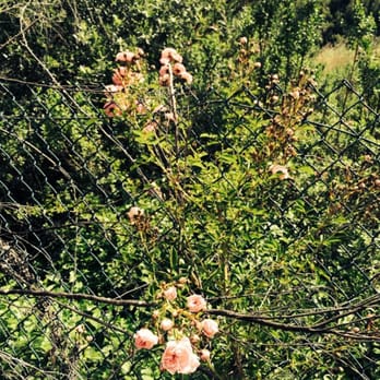 BENBOW LAKE STATE RECREATION AREA - Updated June 2024 - 44 Photos & 13 ...