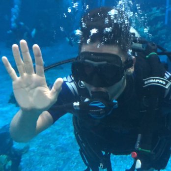 EPCOT DIVE QUEST - Updated January 2026 - 33 Photos & 30 Verified ...