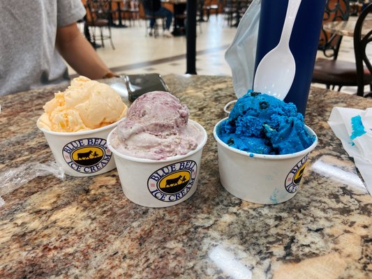 BLUE BELL CREAMERIES - Updated August 2024 - 613 Photos & 297 Reviews ...