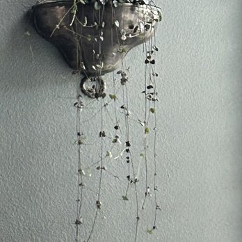 CONSIGNMENT CLASSICS - Updated January 2026 - 476 Photos & 115 Reviews ...