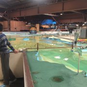 BAY MODEL VISITOR CENTER - 201 Photos & 60 Reviews - 2100 Bridgeway ...