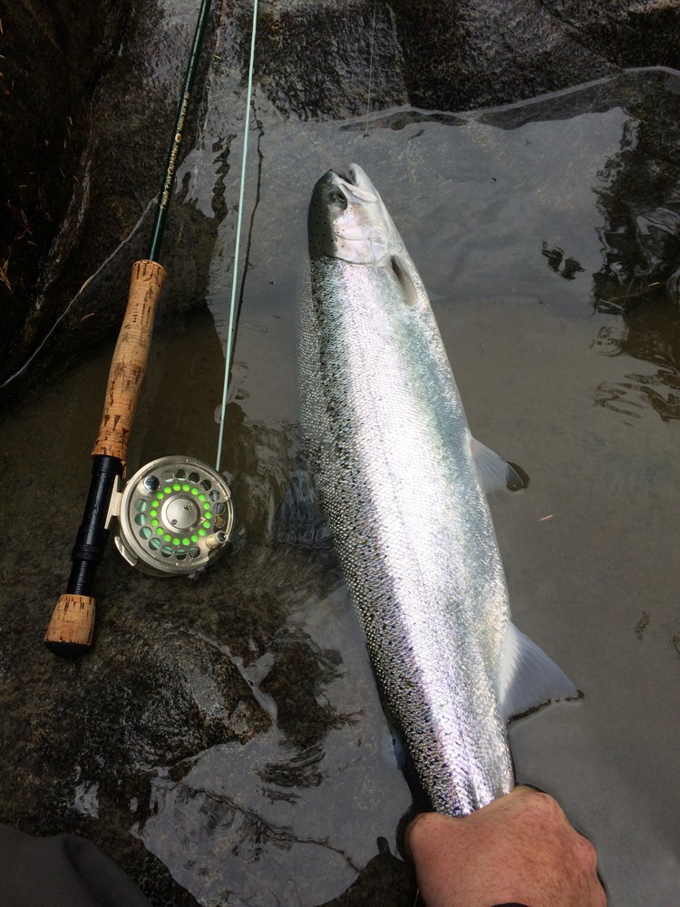 IGUIDEBC - Updated July 2025 - 11 Photos - 2043 Mable Rd, Shawnigan ...