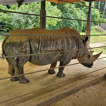 ZOO KNOXVILLE - Updated October 2025 - 459 Photos & 163 Reviews - 3500 ...