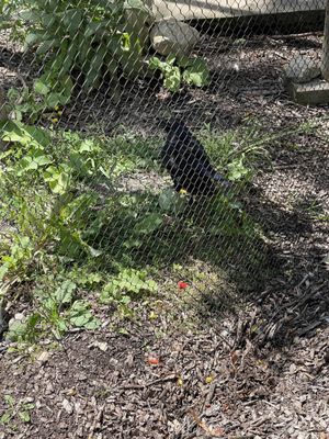 ZOO ECOMUSEUM - Updated October 2025 - 98 Photos & 25 Reviews - 21125 ...