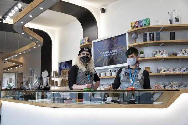 INSA CANNABIS DISPENSARY - SALEM - Updated November 2025 - 30 Photos ...