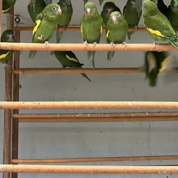 MAGNOLIA BIRD FARM - Updated November 2024 - 137 Photos & 184 Reviews ...