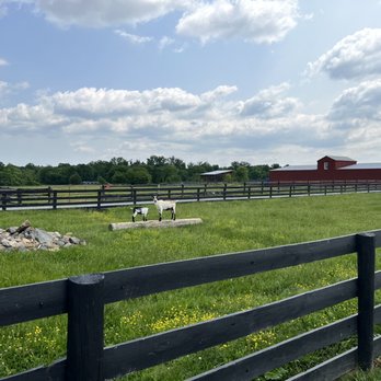 FRYING PAN FARM PARK - Updated June 2024 - 328 Photos & 86 Reviews ...