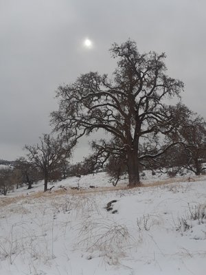 STALLION SPRINGS RESORT - 104 Photos & 17 Reviews - 28681 Stallion ...