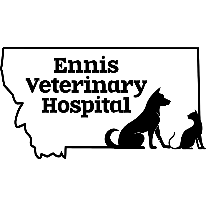 ENNIS VETERINARY HOSPITAL - Updated July 2025 - 5098 US Highway 287 N ...