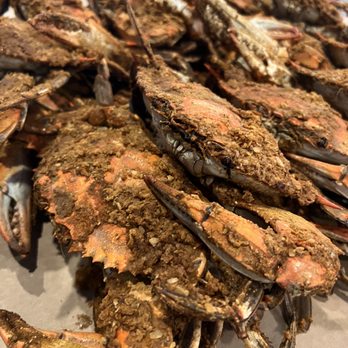 COSTAS INN - Updated August 2024 - 485 Photos & 387 Reviews - 4100 N ...