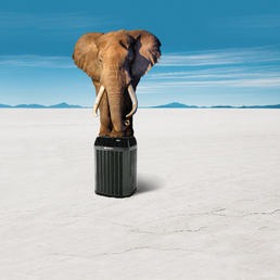 Trane Reviews | Read Customer Service Reviews of trane.com