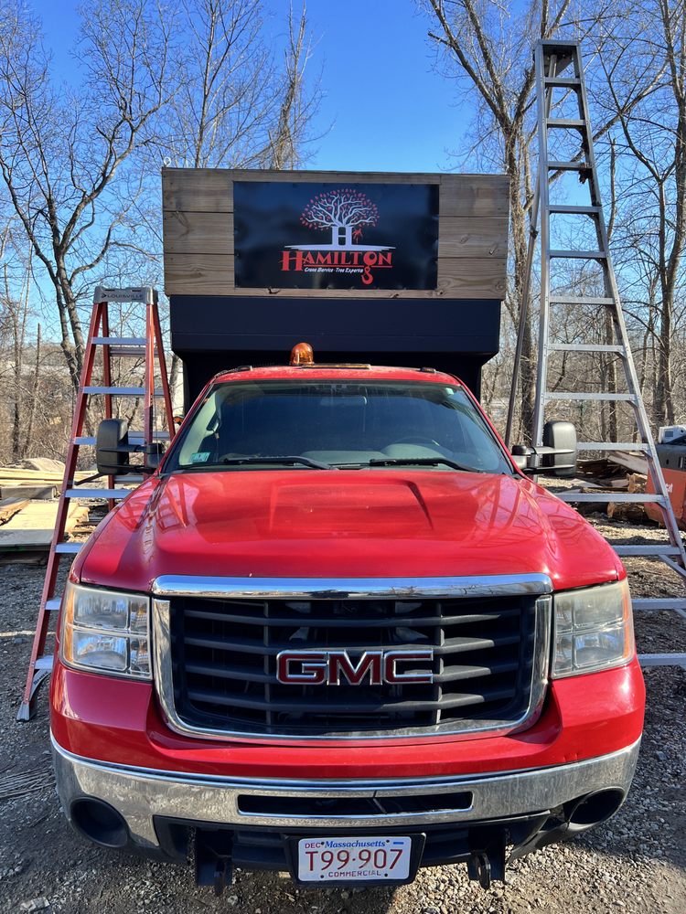 Tree Services: HAMILTON TREE EXPERTS - Updated October 2024 - East ...