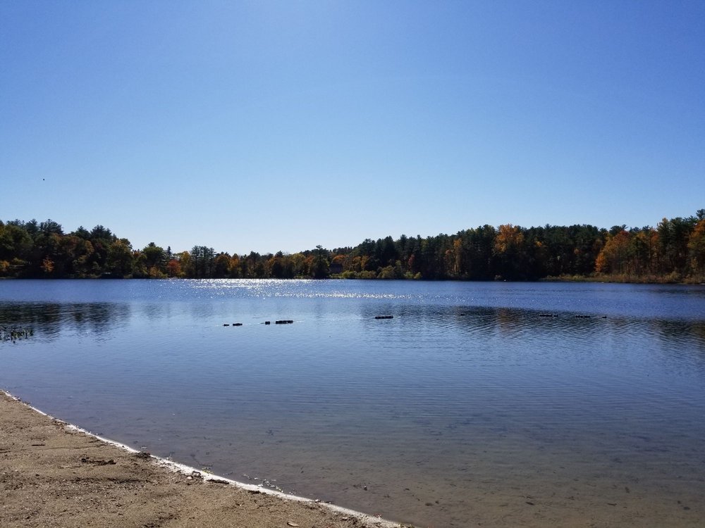 PROSPECT LAKE PARK - Updated July 2025 - 12 Photos & 26 Reviews - 50 ...