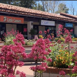 SLO PROMENADE - Updated November 2024 - 319 Madonna Rd, San Luis Obispo ...