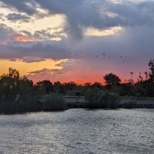 MODESTO RESERVOIR REGIONAL PARK - Updated July 2024 - 90 Photos & 41 ...