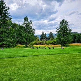 WASATCH MOUNTAIN STATE PARK GOLF - Updated December 2025 - 32 Photos ...