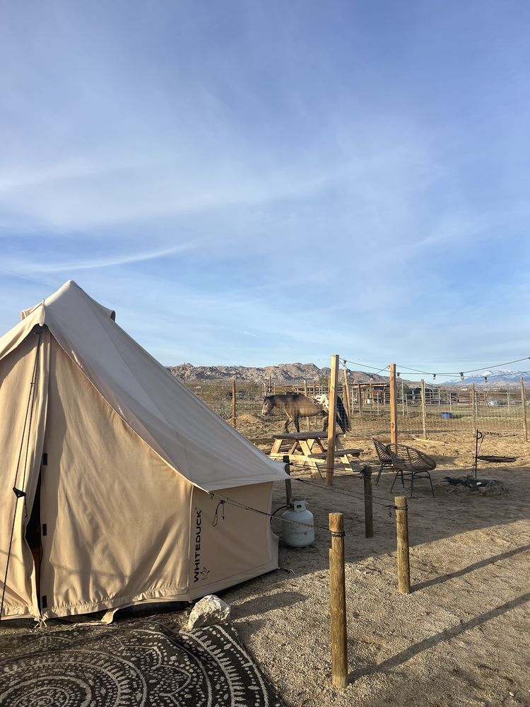 CASCADE TRAILS MUSTANG SANCTUARY - Updated August 2025 - 36 Photos & 13 ...